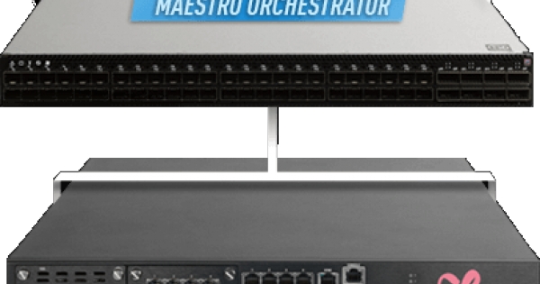 Checkpoint Maestro | Сүлжээний аюулгүй байдал